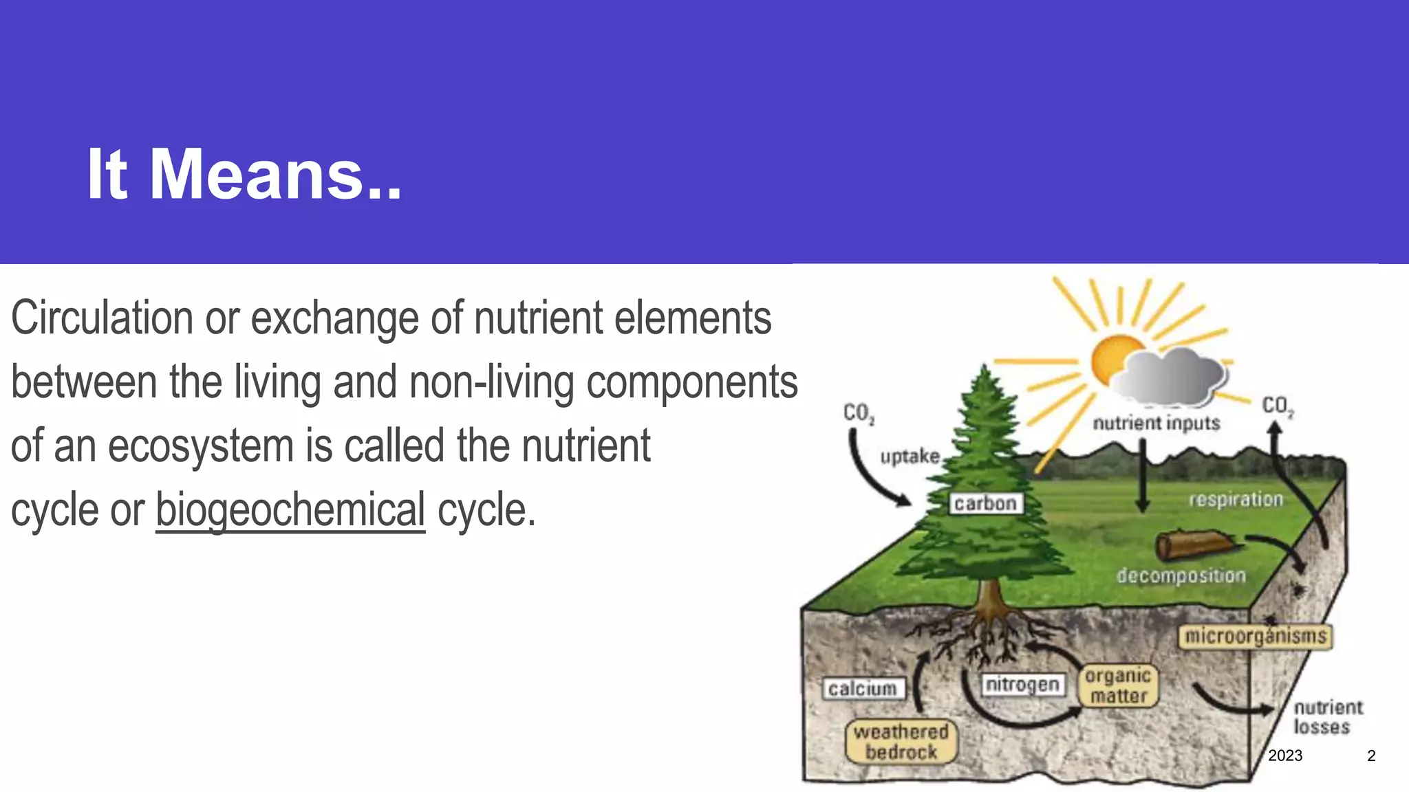 nutrient cycling ,microclimate,soil improvement ,CO2 cycle | PPTX