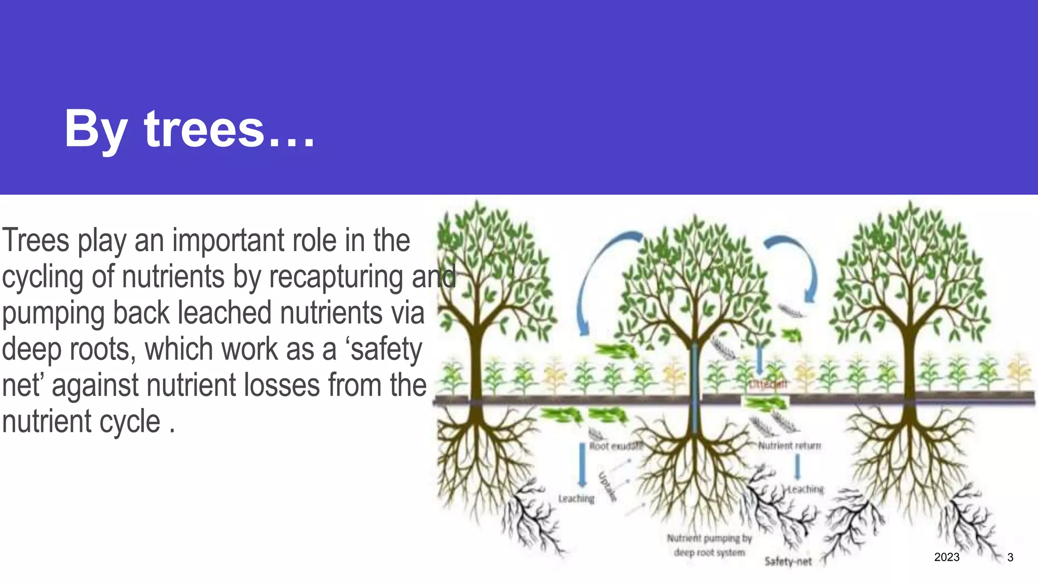 nutrient cycling ,microclimate,soil improvement ,CO2 cycle | PPTX