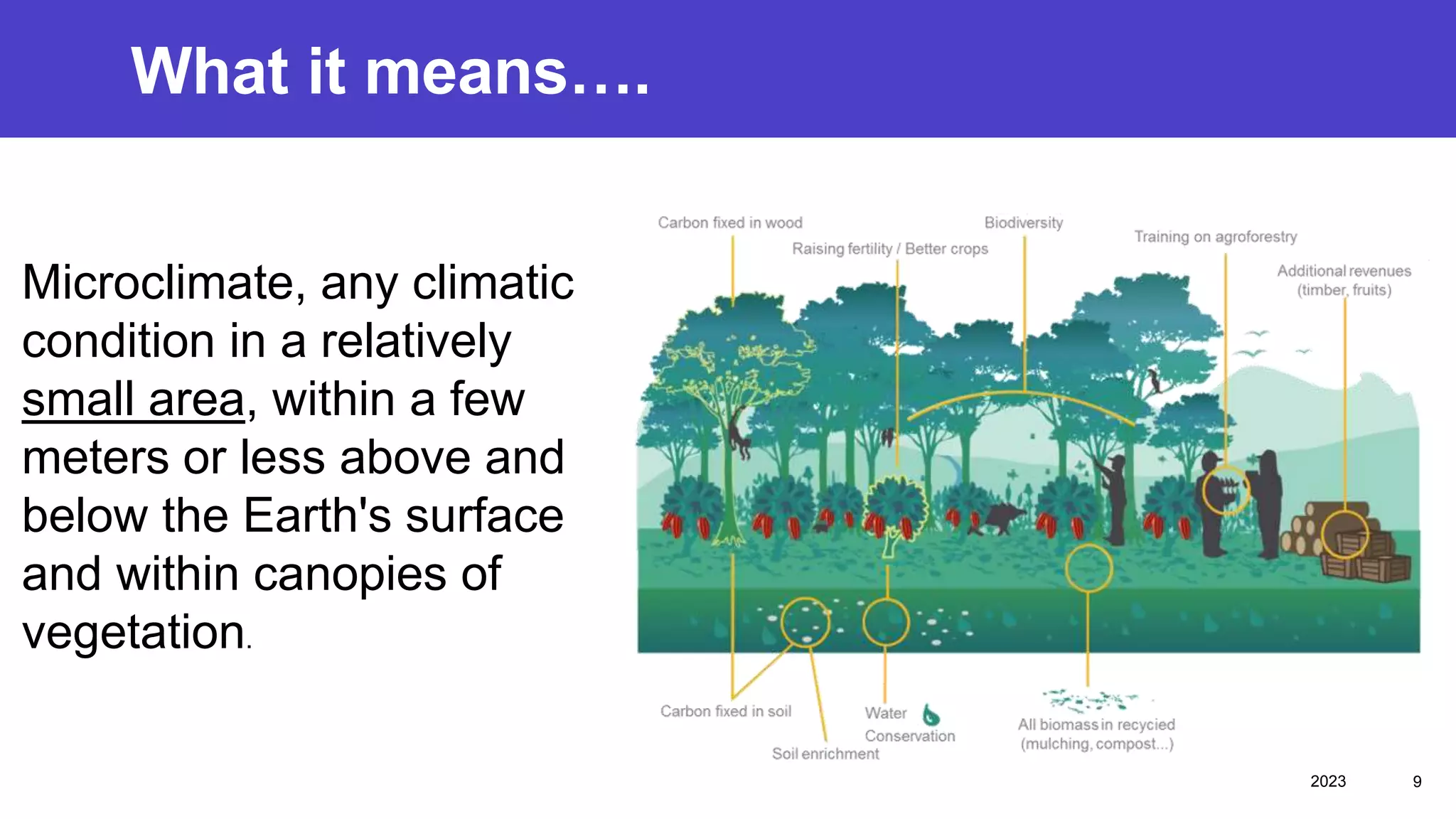 nutrient cycling ,microclimate,soil improvement ,CO2 cycle | PPTX