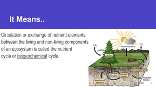 nutrient cycling ,microclimate,soil improvement ,CO2 cycle | PPTX