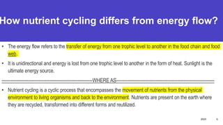 nutrient cycling ,microclimate,soil improvement ,CO2 cycle | PPTX