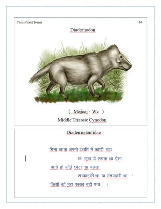 Transitional forms-chapter 2 .2 -mammal ancestors - probainognathus ...