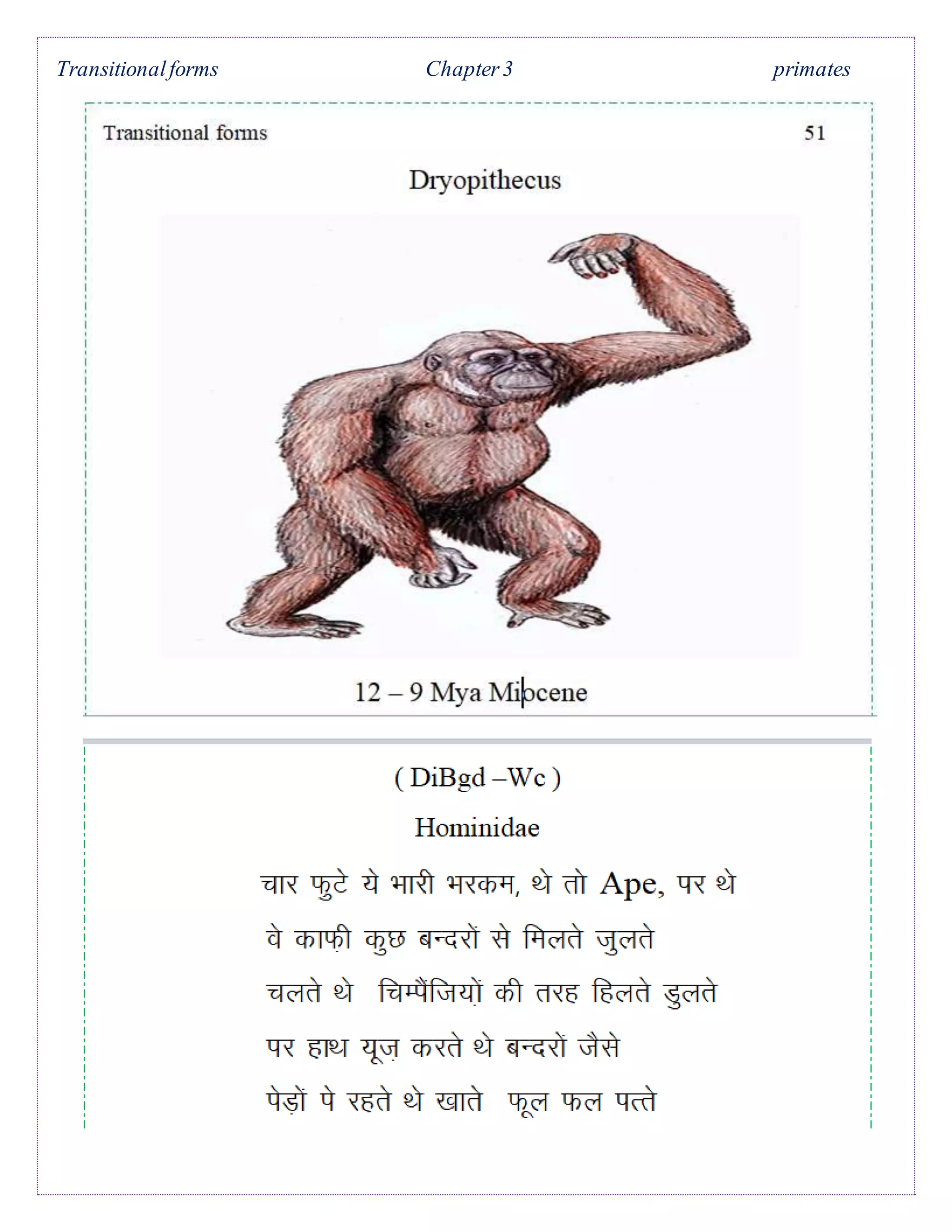 Transitional forms chapter 3.2.2 primates bilingual dryopithecus to ...