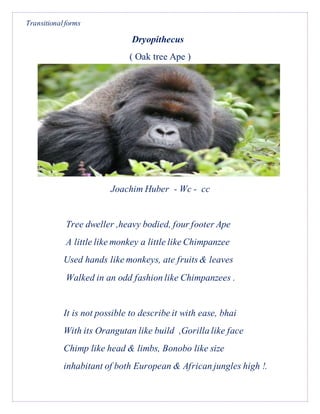 Transitional forms chapter 3.2.2 primates bilingual dryopithecus to ...