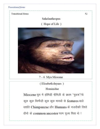 Transitional forms chapter 3.2.2 primates bilingual dryopithecus to ...