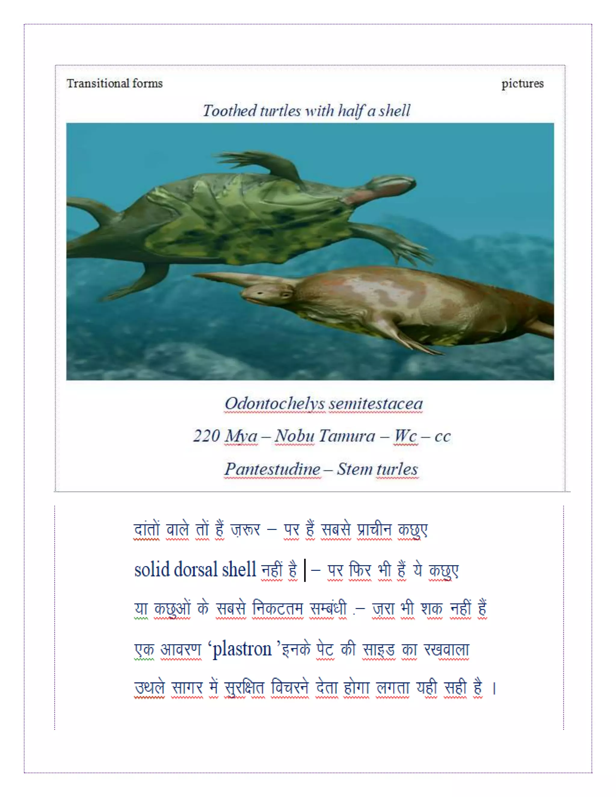 Tf TF chapter 4.2 within reptiles - turtles snakes crocs-pappochelys to ...