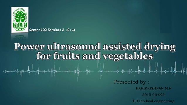 ultrasound assisted drying of fruits and vegetables | PPTX | Physics ...