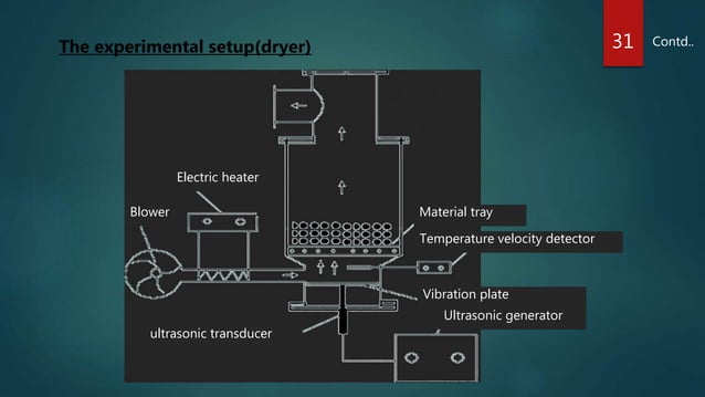 ultrasound assisted drying of fruits and vegetables | PPTX | Physics ...