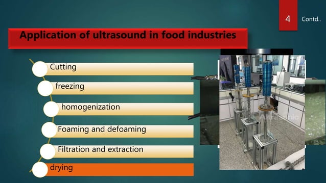 ultrasound assisted drying of fruits and vegetables | PPTX | Physics | Science
