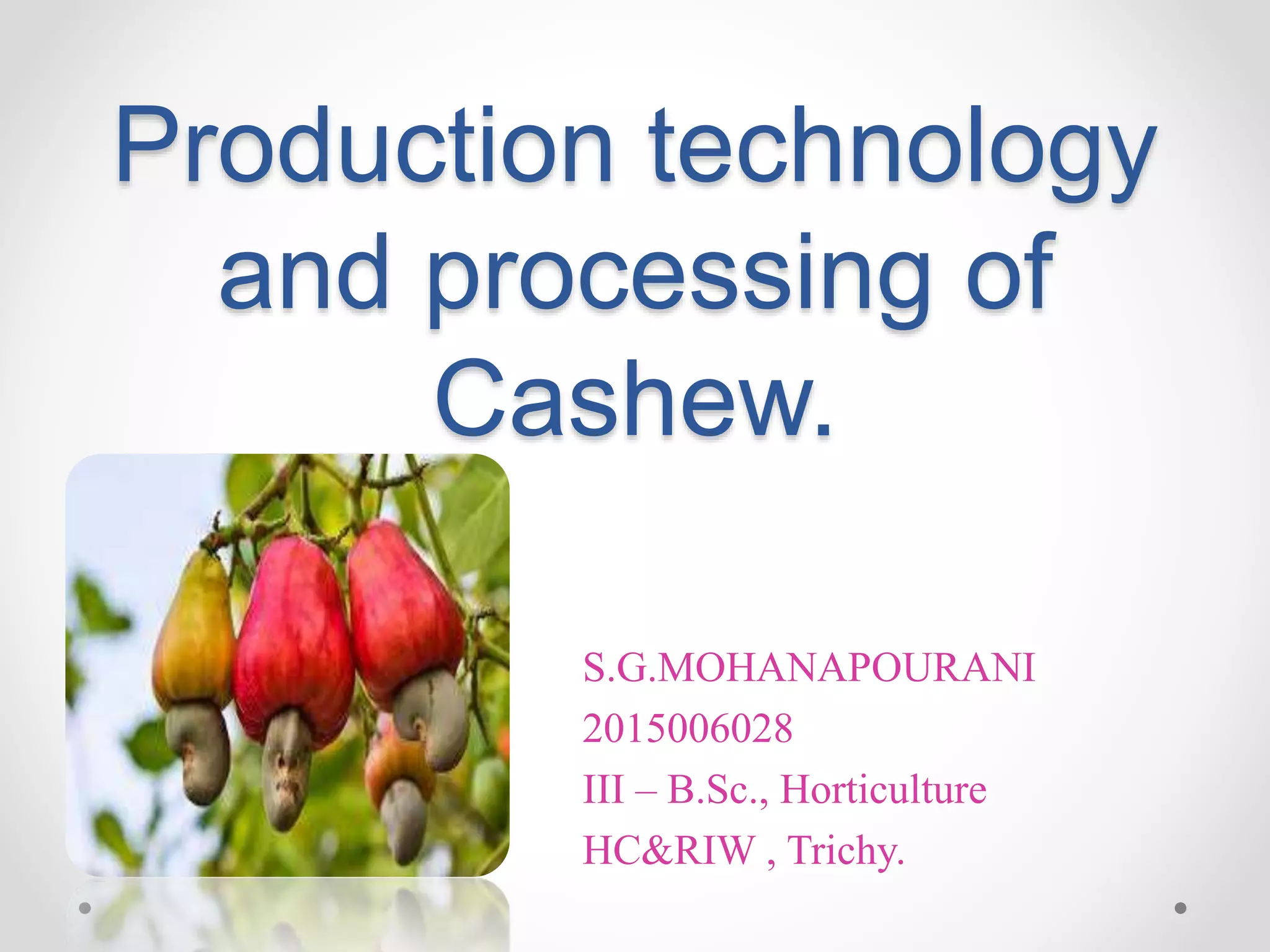PRODUCTION TECHNOLOGY AND PROCESSING OF CASHEW | PPTX