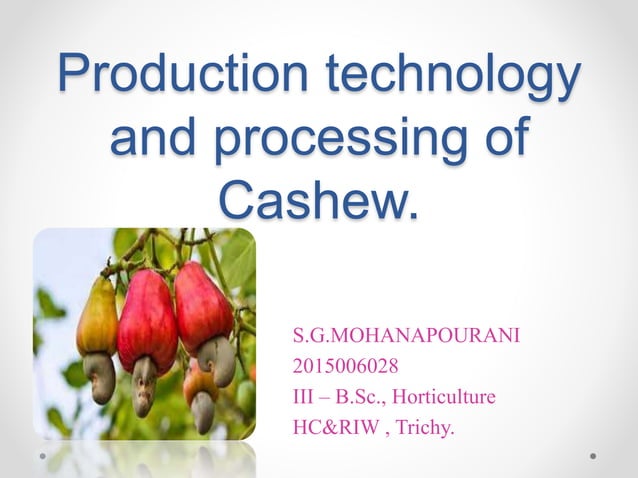 PRODUCTION TECHNOLOGY AND PROCESSING OF CASHEW | PPTX | Agriculture | Industries