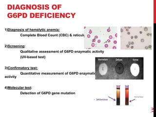 G6PD glucose 6 phosphate dehydrogens deficiency | PPTX