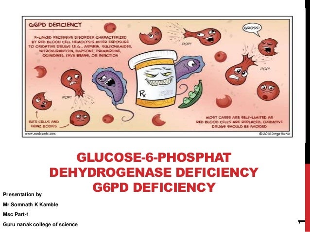 G6PD glucose 6 phosphate dehydrogens deficiency