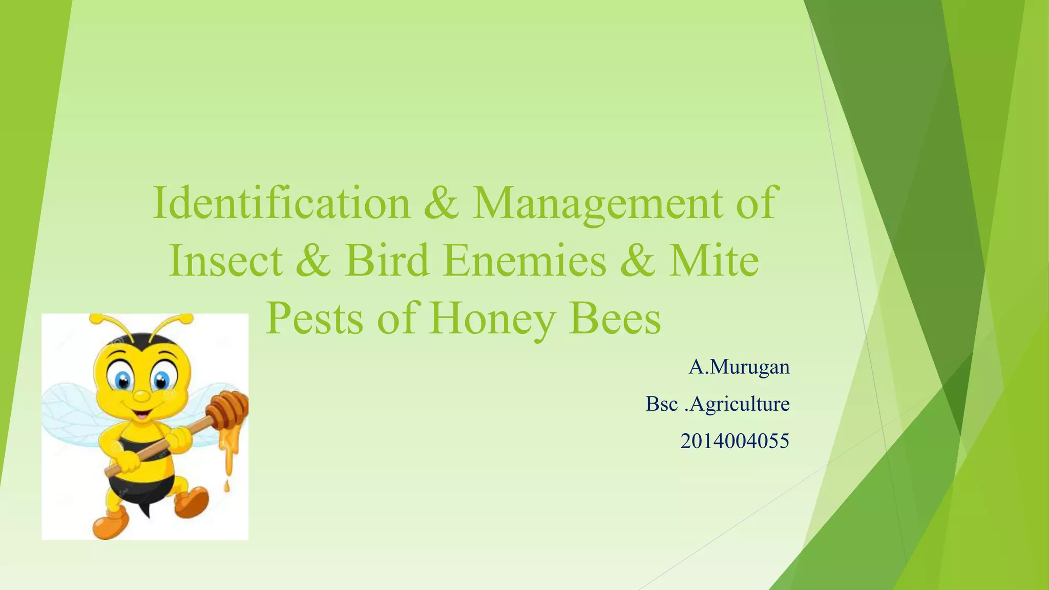 IDENTIFICATION AND MANAGEMENT OF BEE ENEMIES | PPTX | Beekeeping ...