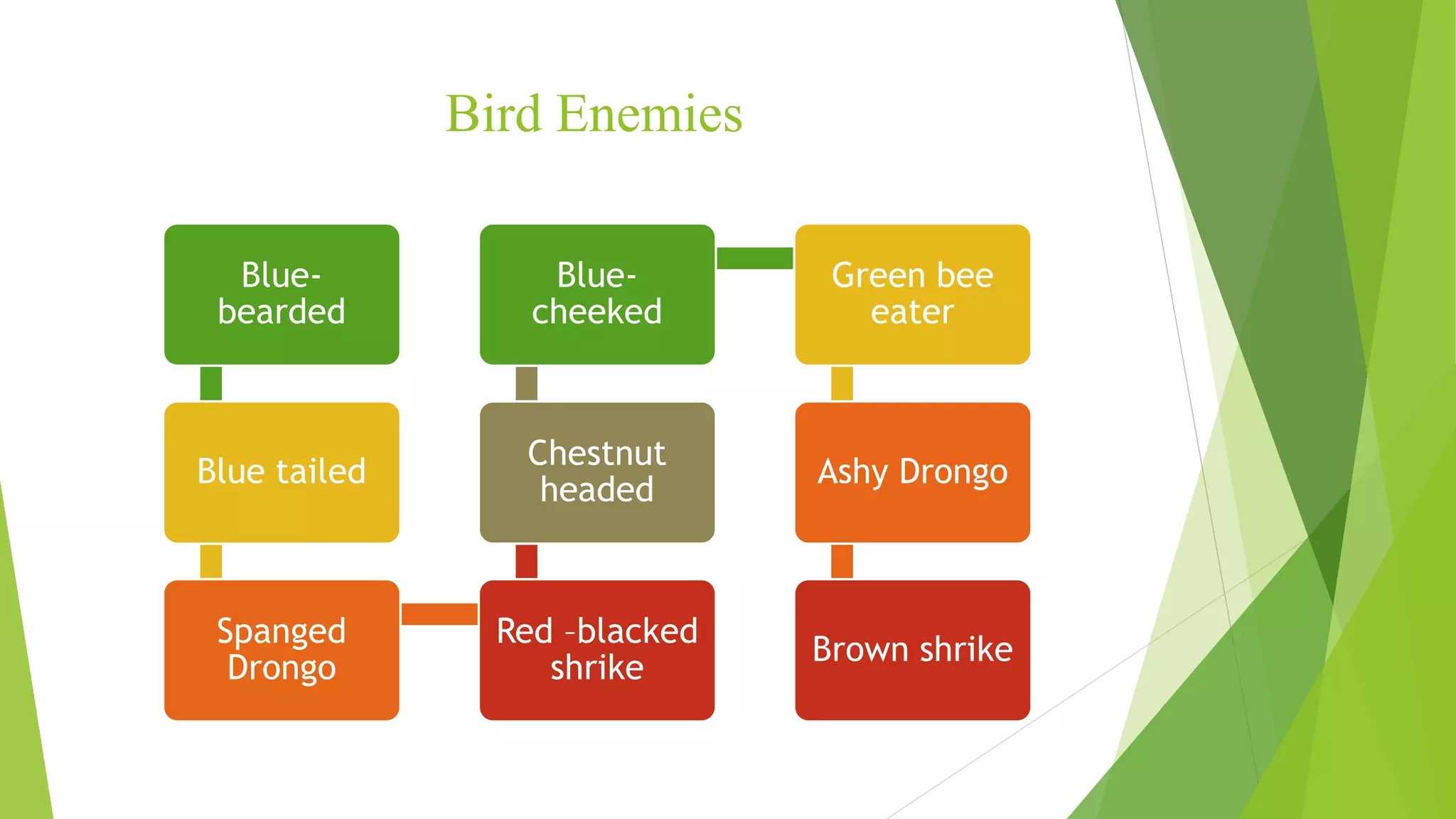 IDENTIFICATION AND MANAGEMENT OF BEE ENEMIES | PPTX