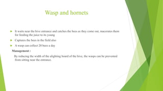 IDENTIFICATION AND MANAGEMENT OF BEE ENEMIES | PPTX | Beekeeping ...
