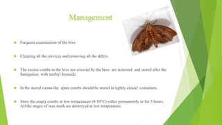 IDENTIFICATION AND MANAGEMENT OF BEE ENEMIES | PPTX | Beekeeping ...