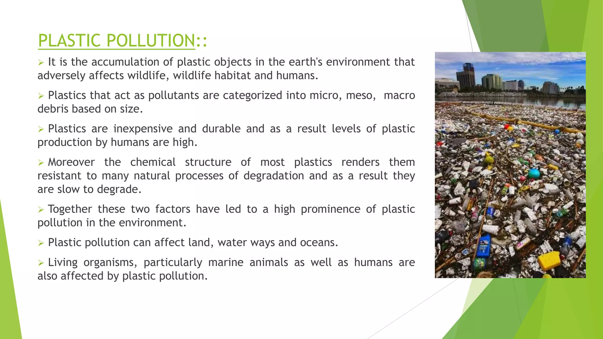Plastic Pollution | PPTX