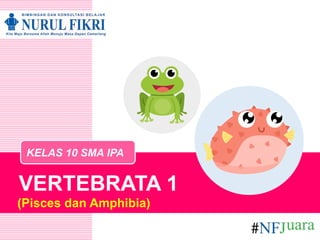 TF08_Biologi_10IPA_KALL_Vertebrata 1 - Pisces & Amphibia.pptx
