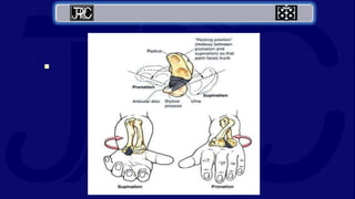 TFCC (Triangular fibro cartilage complex) Injury | PPT