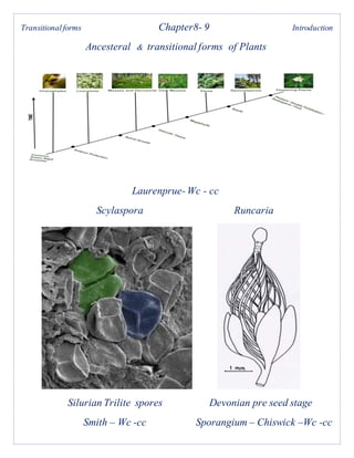 Transitional forms chapter 8-9 plants - ancestors and transitional ...