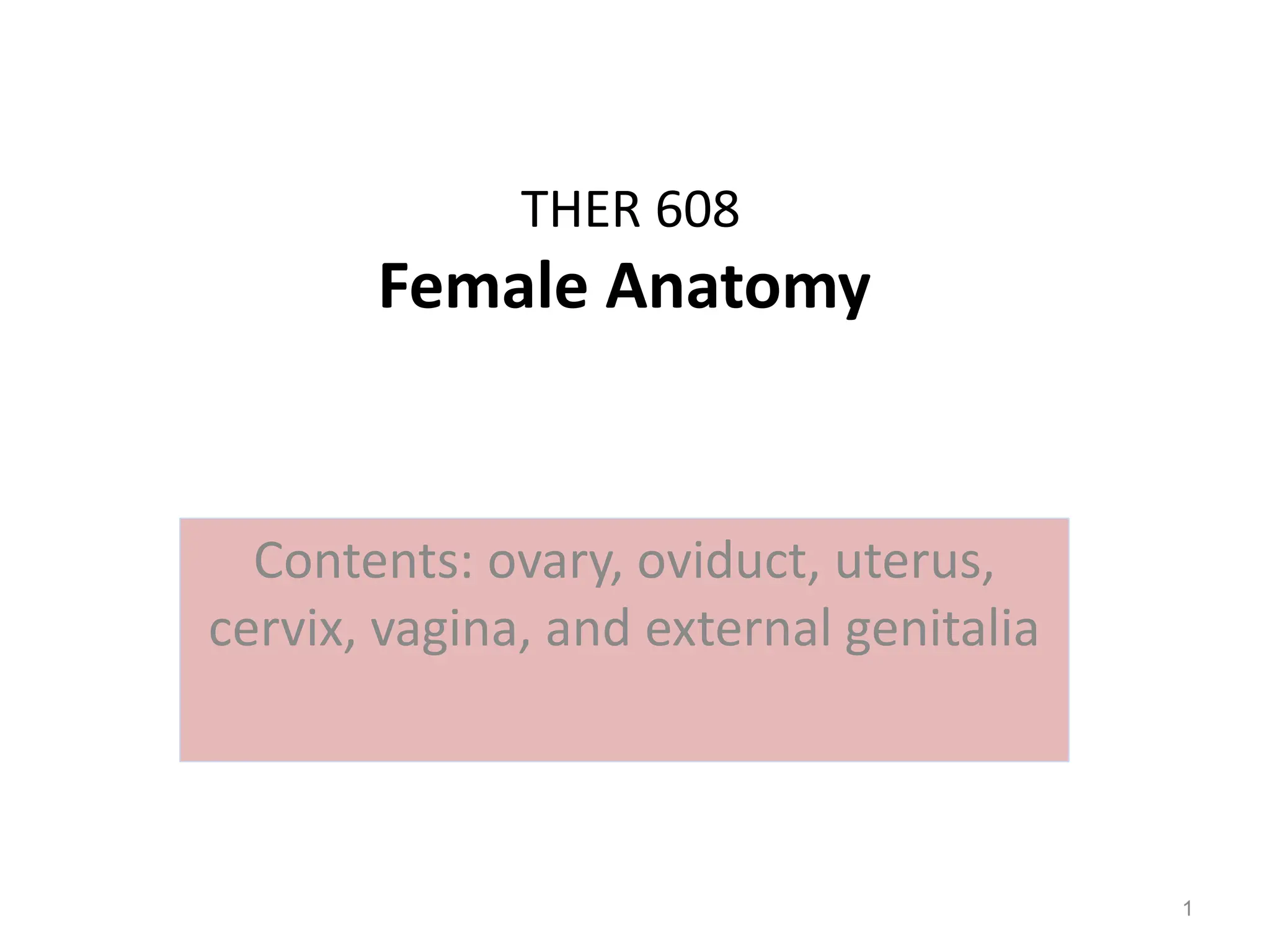 T Female reproductive system anatomy.ppt