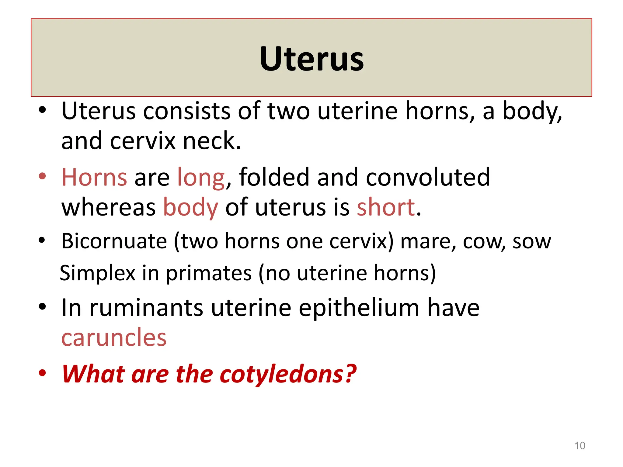 T Female reproductive system anatomy.ppt