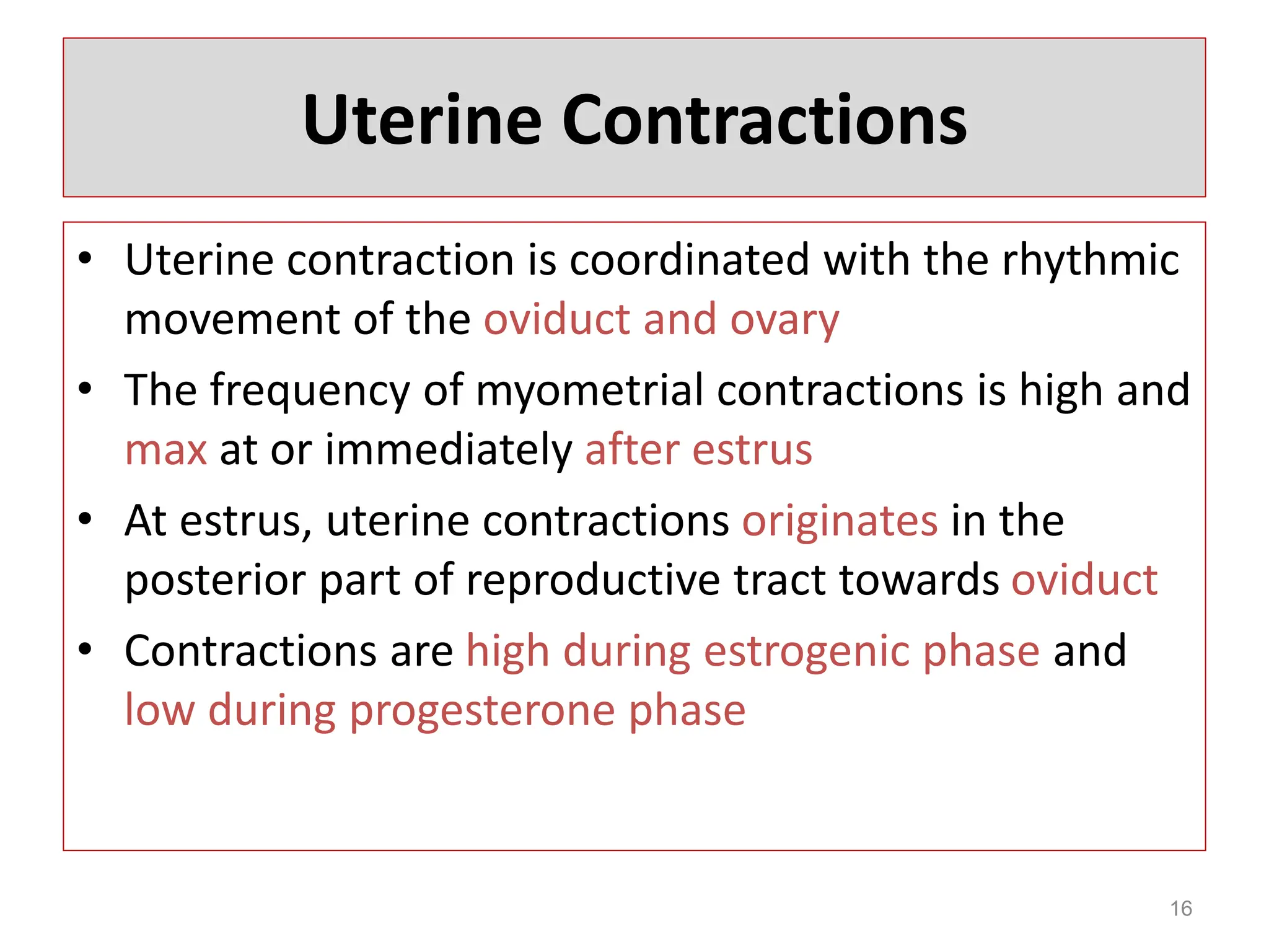 T Female reproductive system anatomy.ppt