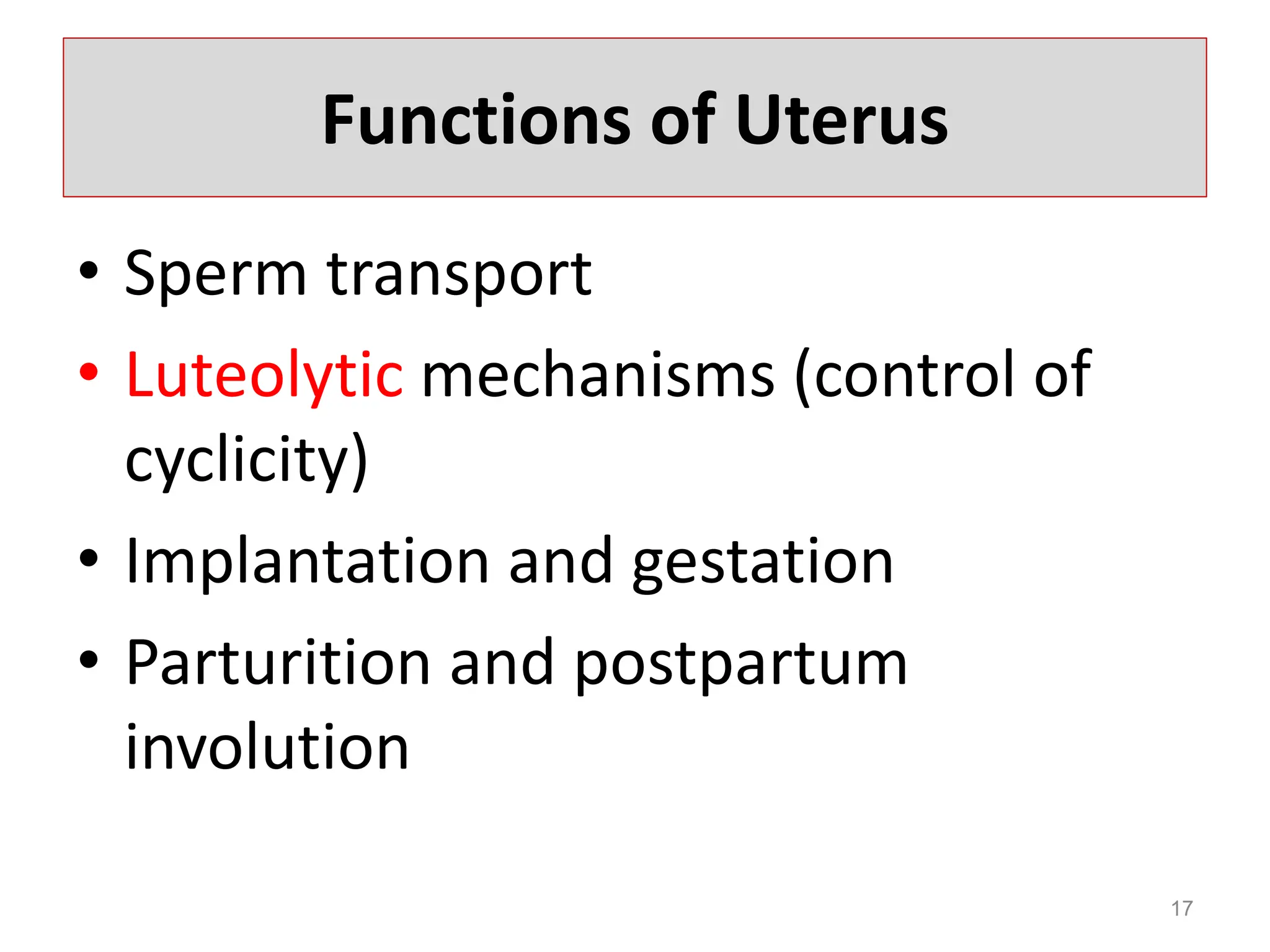 T Female reproductive system anatomy.ppt