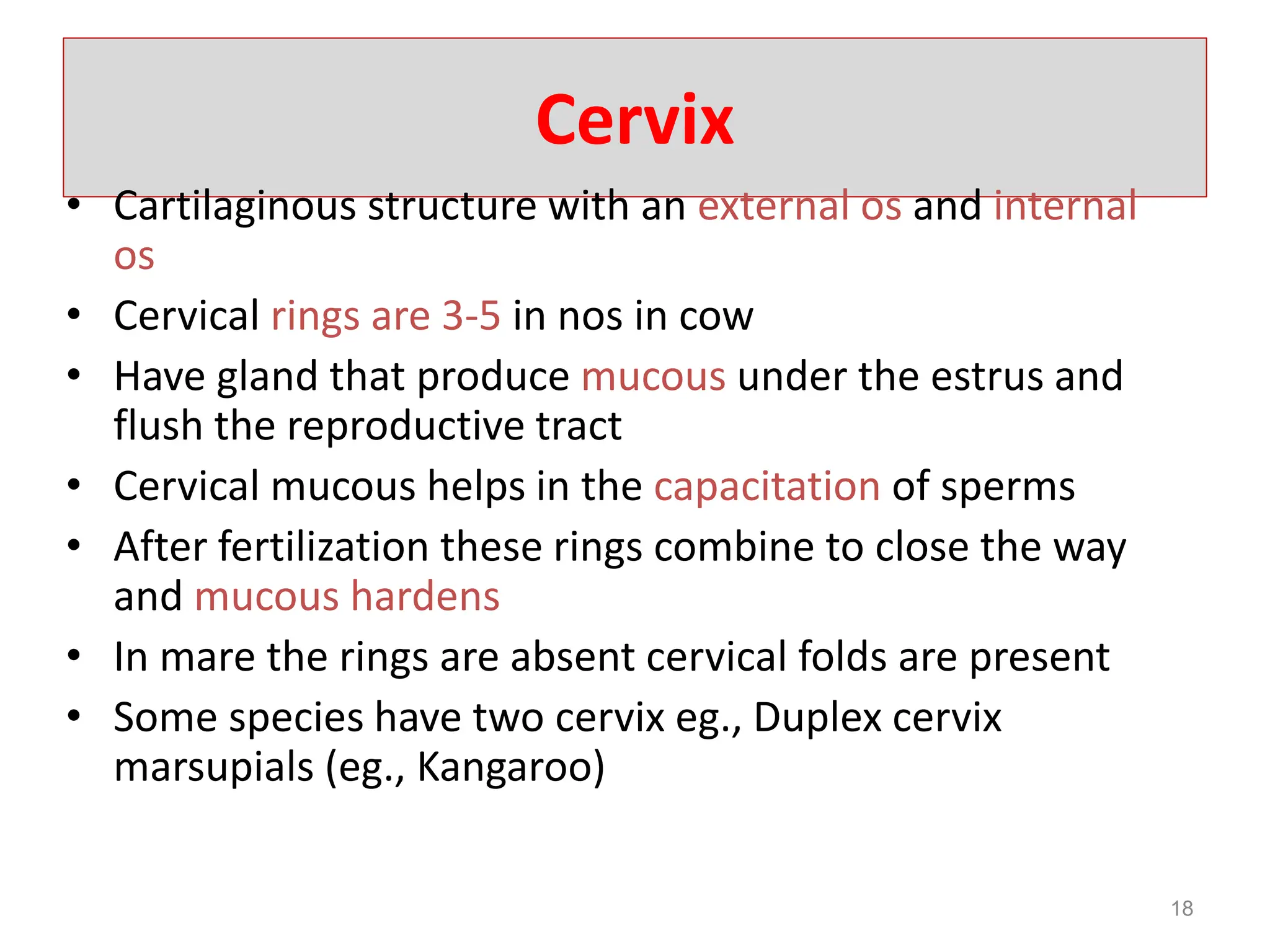T Female reproductive system anatomy.ppt