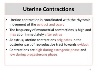 T Female reproductive system anatomy.ppt
