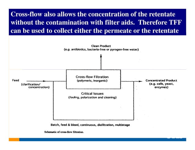 Cross Flow or Tangential Flow Membrane Filtration (TFF) to Enable High ...