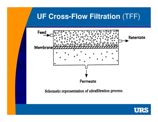 Cross Flow or Tangential Flow Membrane Filtration (TFF) to Enable High ...