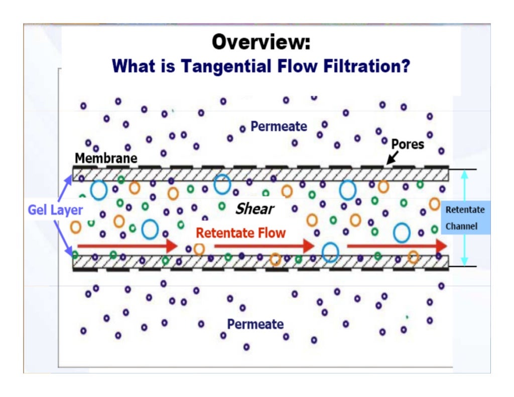 Cross Flow or Tangential Flow Membrane Filtration (TFF) to Enable Hig…
