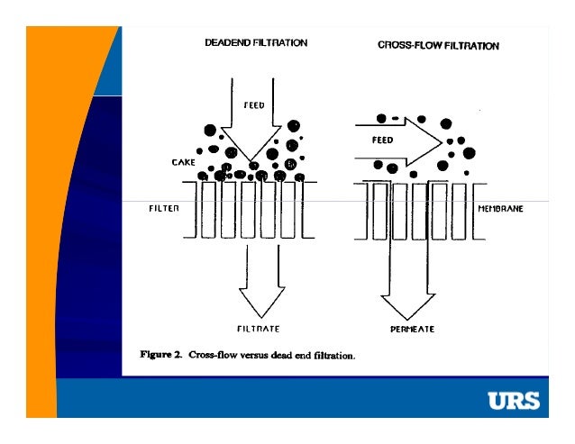 Cross Flow or Tangential Flow Membrane Filtration (TFF) to Enable Hig…