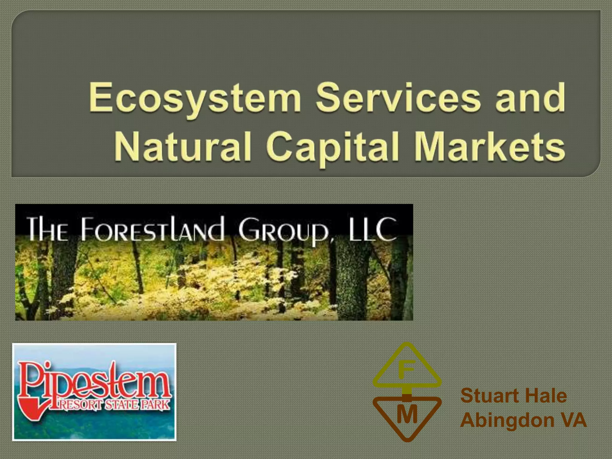 Ecosystem Services and Natural Capital Markets 2012 | PPTX