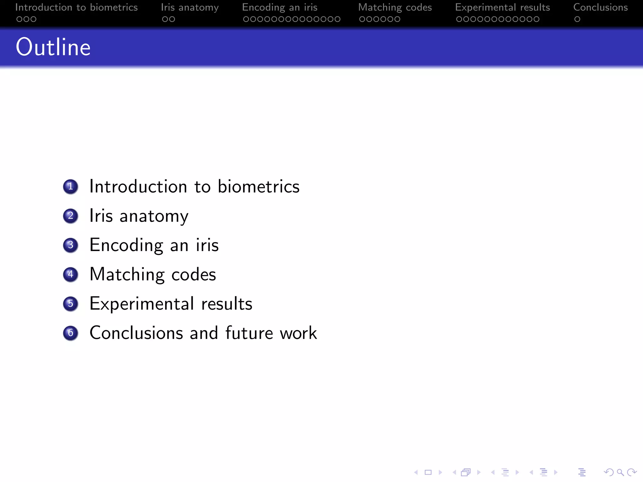 Human Iris Biometry | PDF