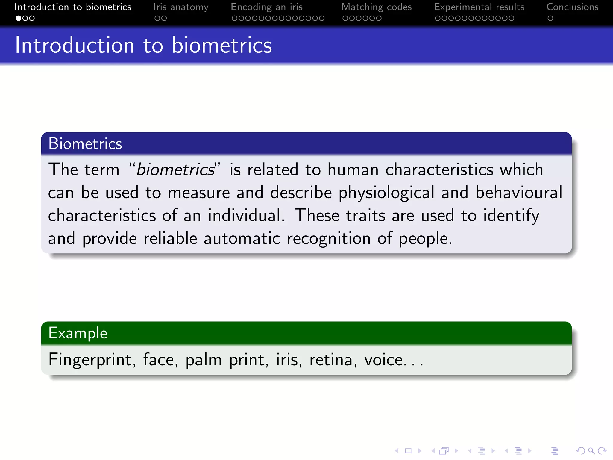 Human Iris Biometry | PDF