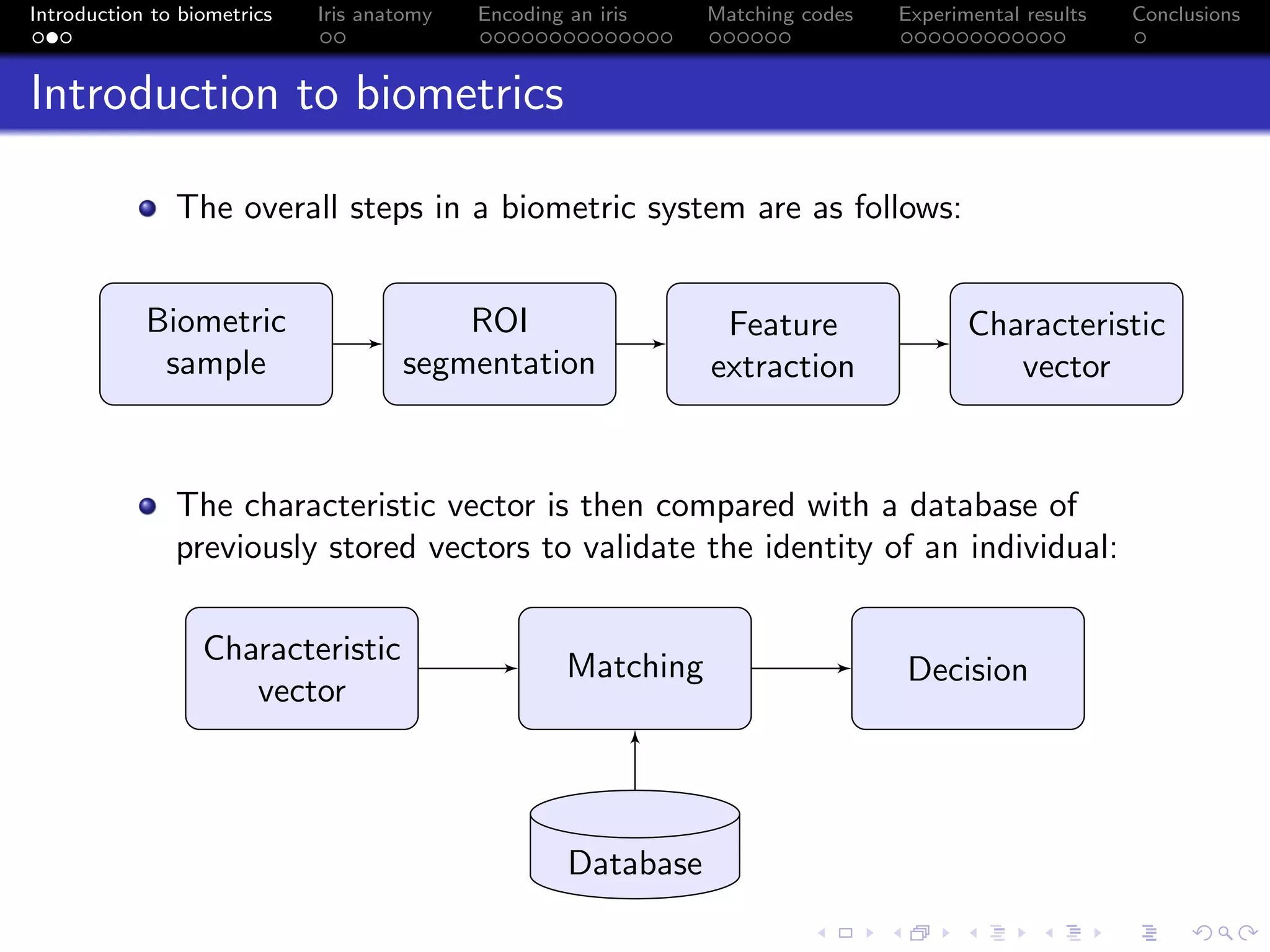 Human Iris Biometry | PDF