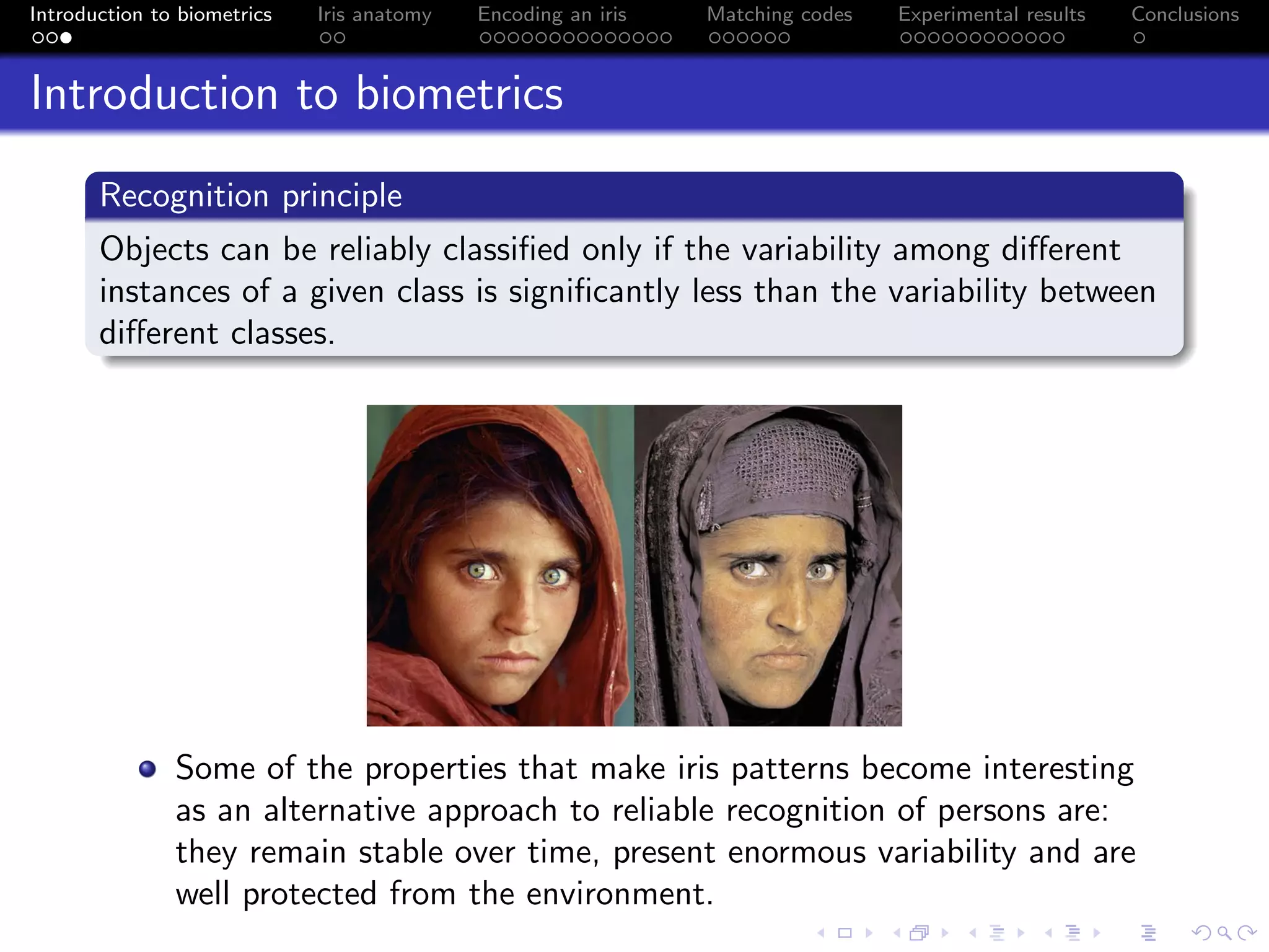 Human Iris Biometry | PDF