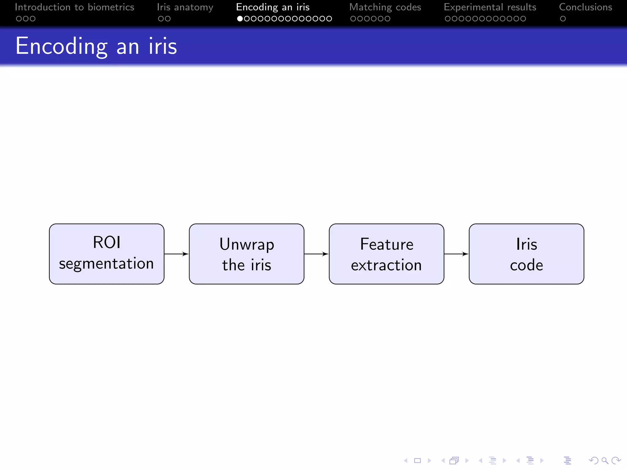 Human Iris Biometry | PDF