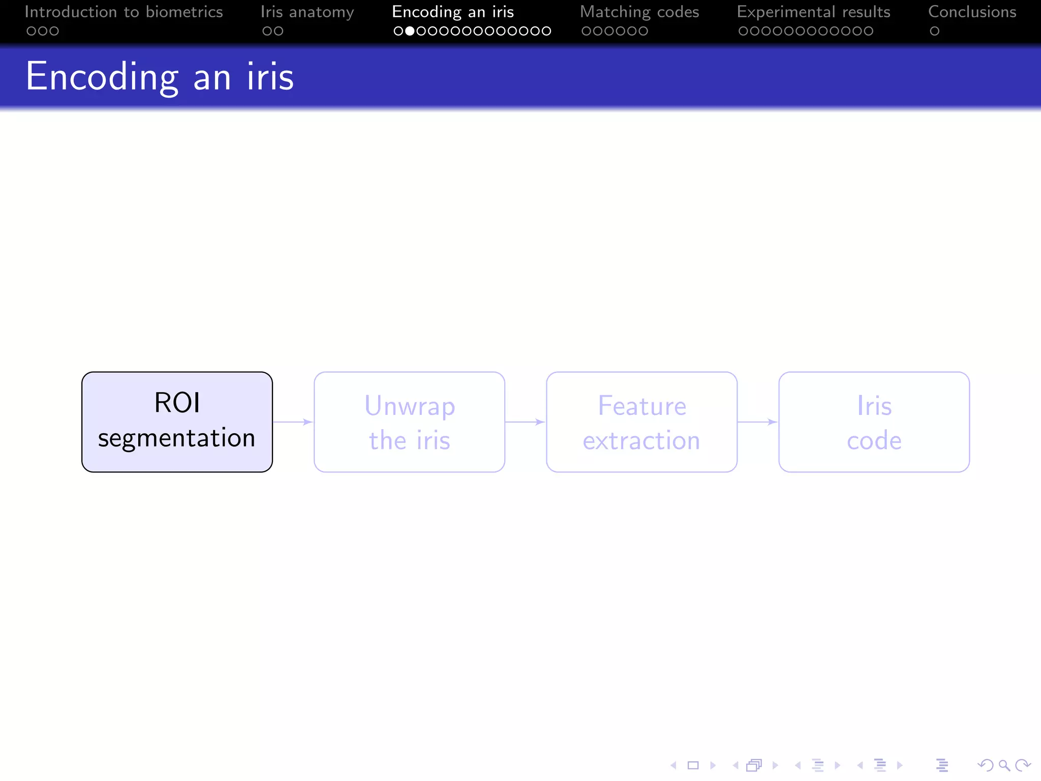Human Iris Biometry | PDF