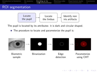 Human Iris Biometry | PDF