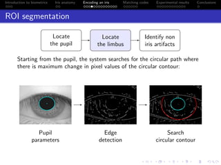 Human Iris Biometry | PDF