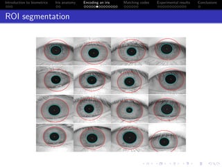 Human Iris Biometry | PDF