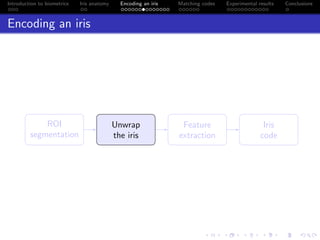 Human Iris Biometry | PDF