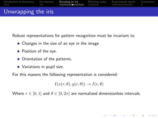 Human Iris Biometry | PDF