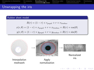 Human Iris Biometry | PDF