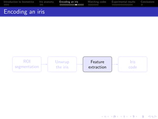Human Iris Biometry | PDF