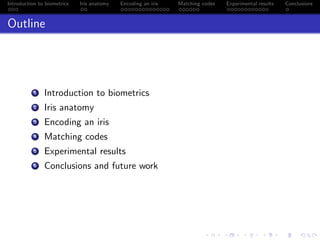 Human Iris Biometry | PDF